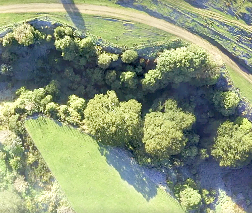 NZ Climate Innovation | Creating value for environmental action in NZ